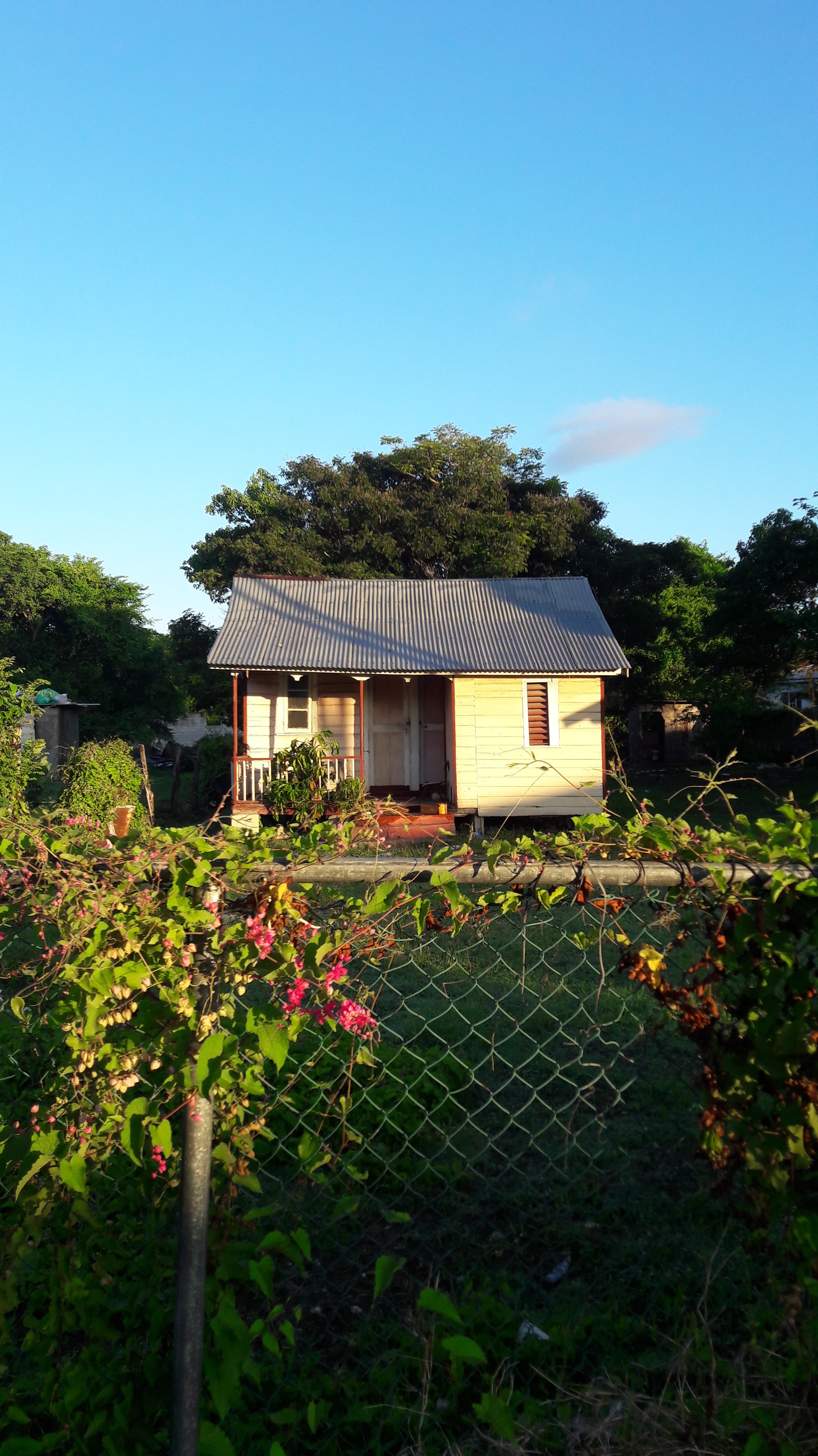 Gallery – Way Back When